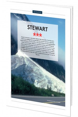 Stewart travel guide 2024 | Free PDF book to print