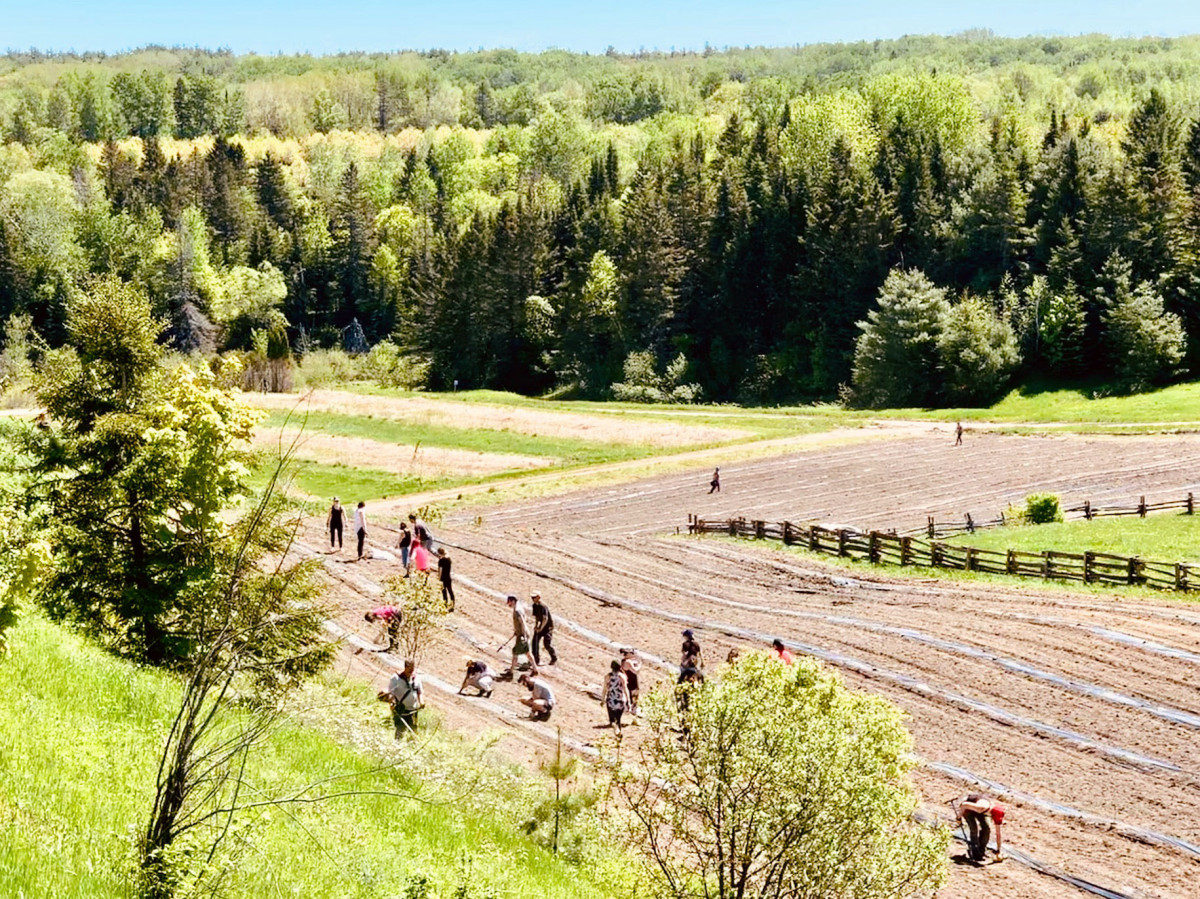 Authentik Forest 2019 | Authentik Canada