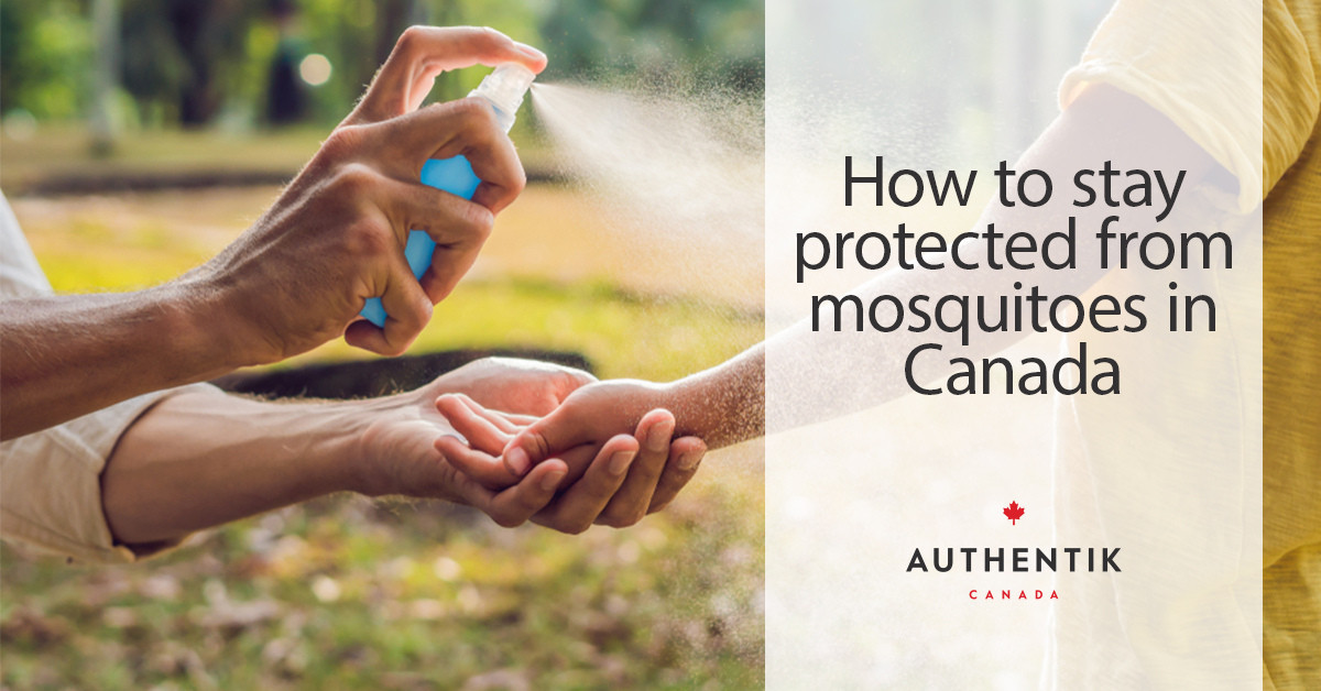 How to stay protected from mosquitoes in Canada?