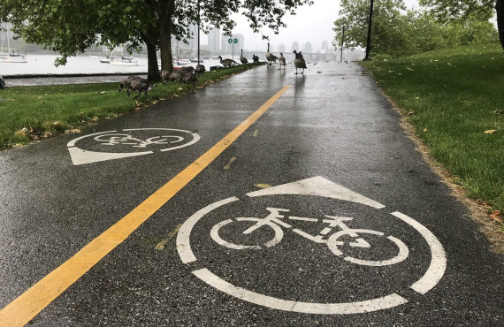 Vancouver Guided Tour by Bike: Price, photos and reviews