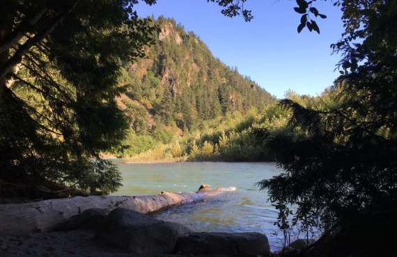 Paradise Valley Campground - Squamish : Rates, photos and reviews