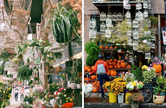 20 best photo spots in Montreal