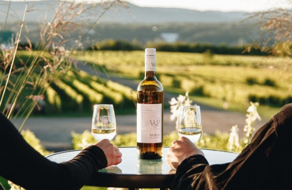 Top 5 des vignobles à visiter au Québec